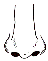 Druckbuchstaben erkennen